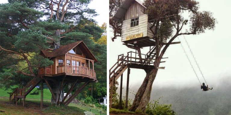 36 Amazing Dream Tree Houses