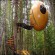 36 Amazing Dream Tree Houses – SORTRA