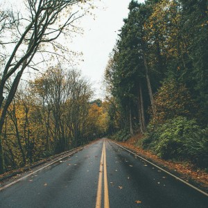 Amazing Foggy Landscape Captures by Dylan Furst