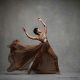 Inspiring Series of Photos Shows How Stunningly Graceful Dancers Are