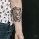 3D Animal Tattoos by Sven Rayen