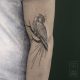 3D Animal Tattoos by Sven Rayen