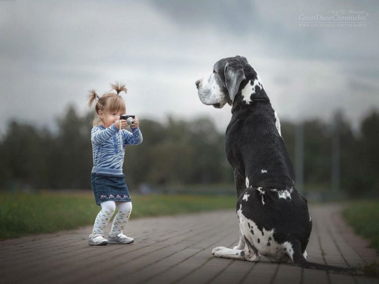 Photographer Shows How Gentle Big Dogs are Towards Their Little Humans