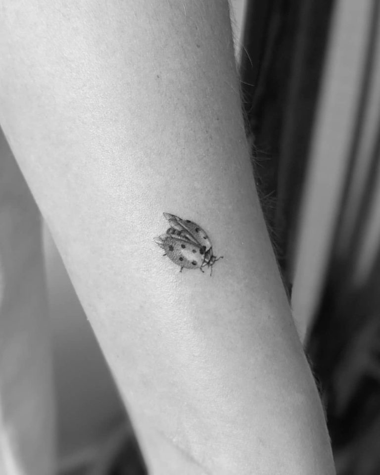 20 Delightful Ladybug Tattoos and Their Symbolic Meanings