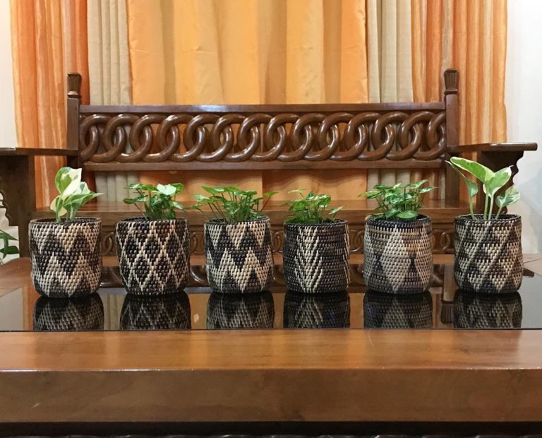 24 Stylish Pot Cover Ideas to Pretty Up Your Plants