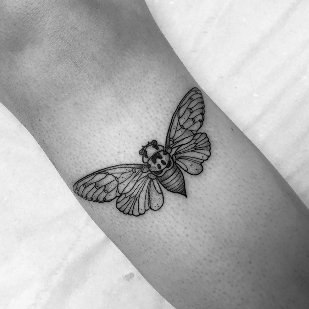 22 Cryptic Cicada Tattoo Designs and Where to Ink Them