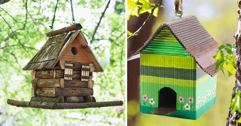 23 Easy and Crafty DIY Bird House Examples